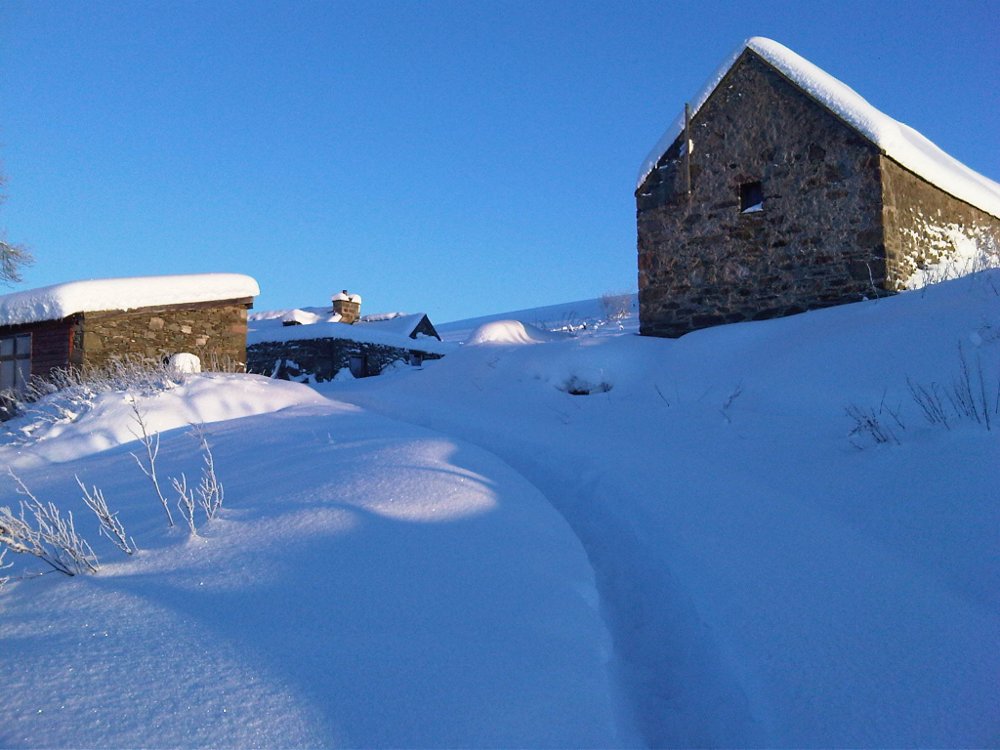 Snow – Shenwall.com